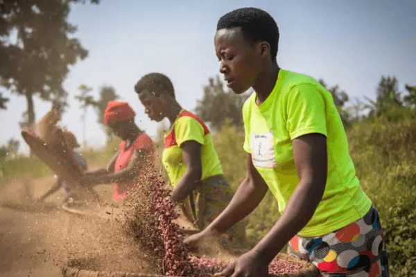 The 17 SDGs | SDG Champions Hub